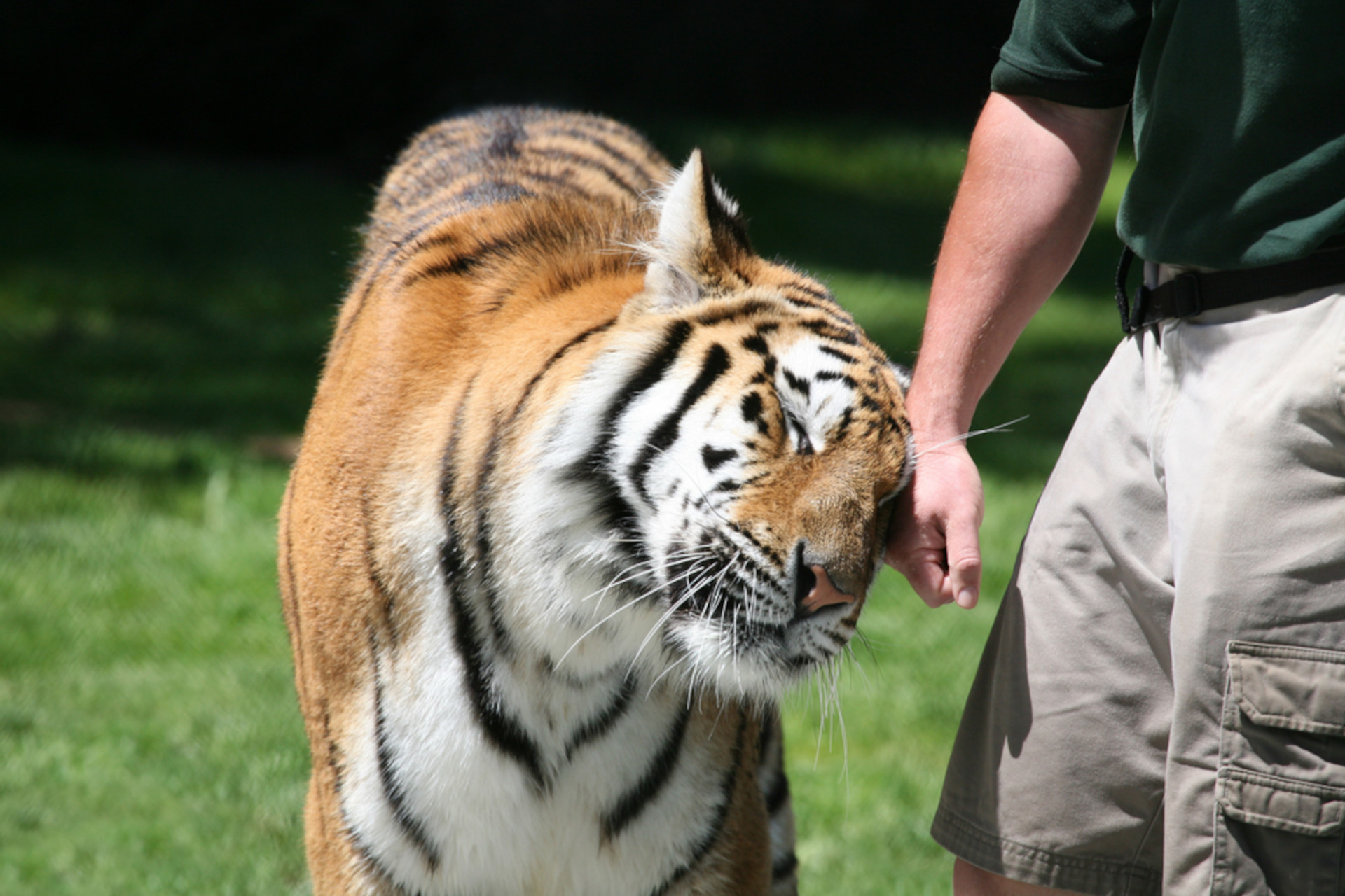 Etología (Conducta de los Animales) - Albali Centros